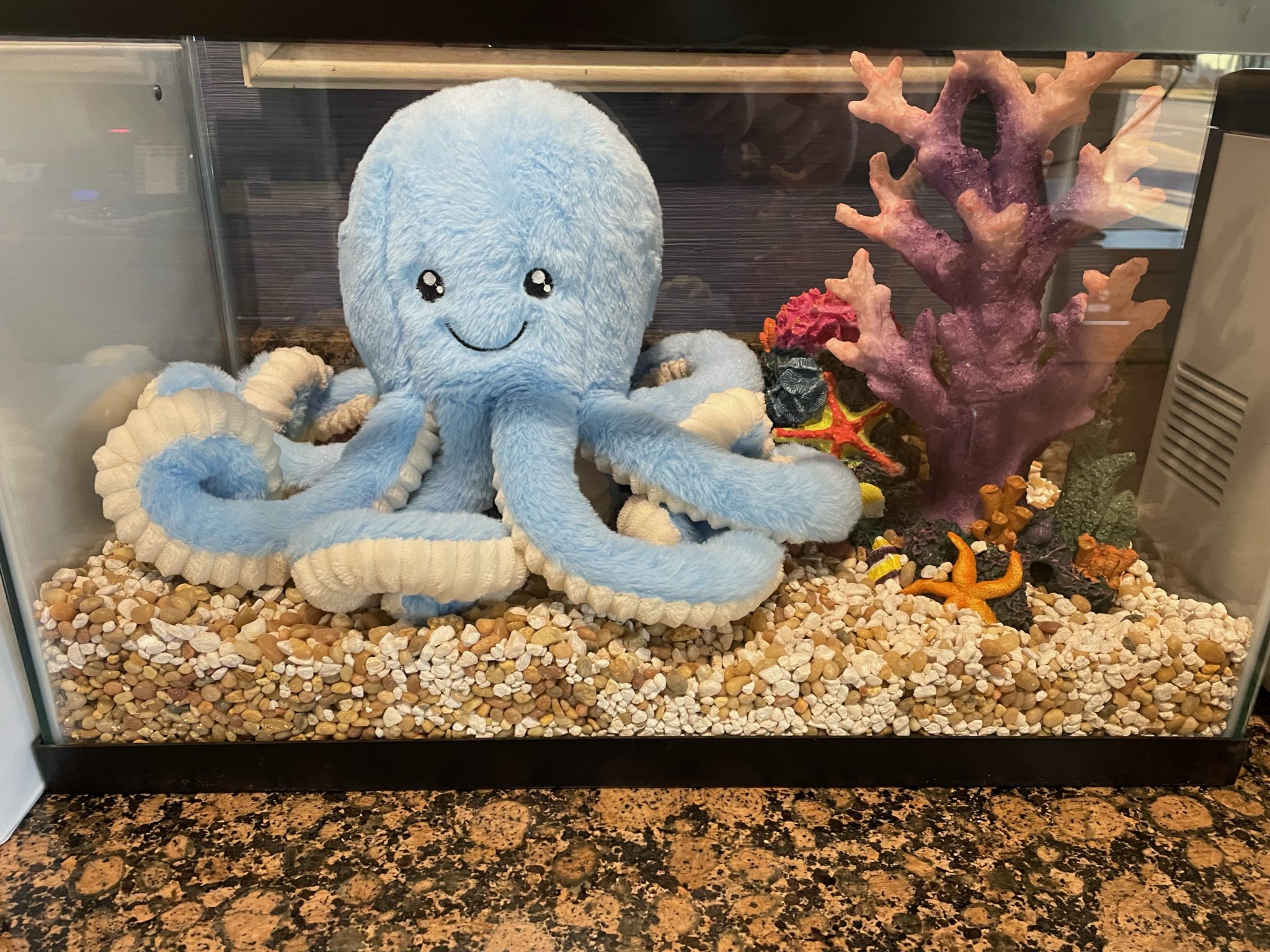 Welcome to Compass Cove Oceanfront Myrtle Beach Resort - Compass Cove